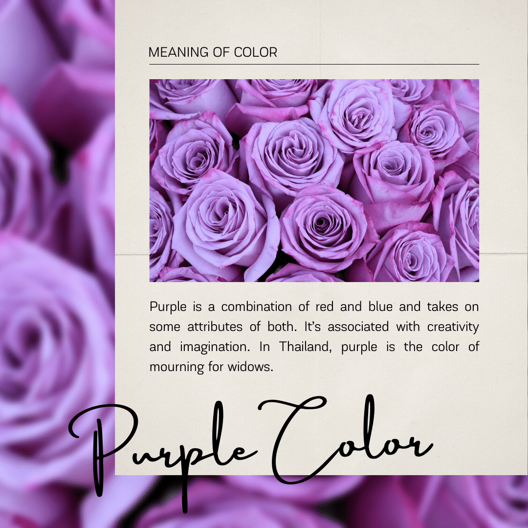 How To Choose Colors For Your Website AuthorWell